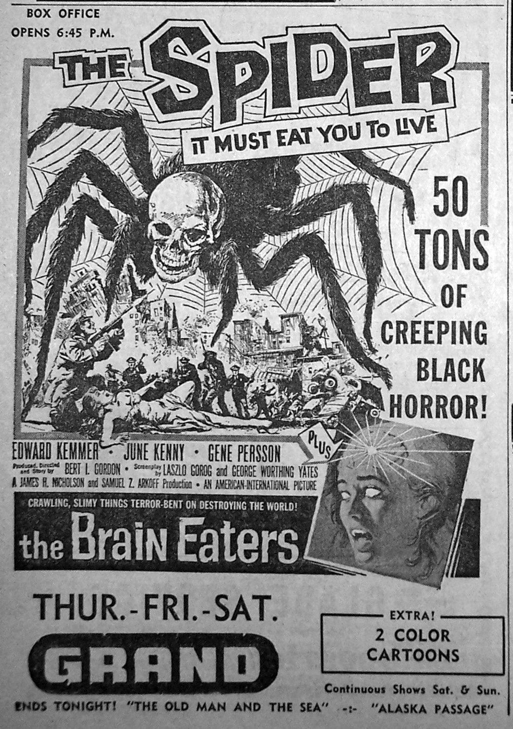 Todo El Terror Del Mundo: La Araña (The Spider) (Earth vs.The Spider ...