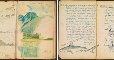 Smithsonian Collections Blog: William Duncan Strong: A New Virtual ...
