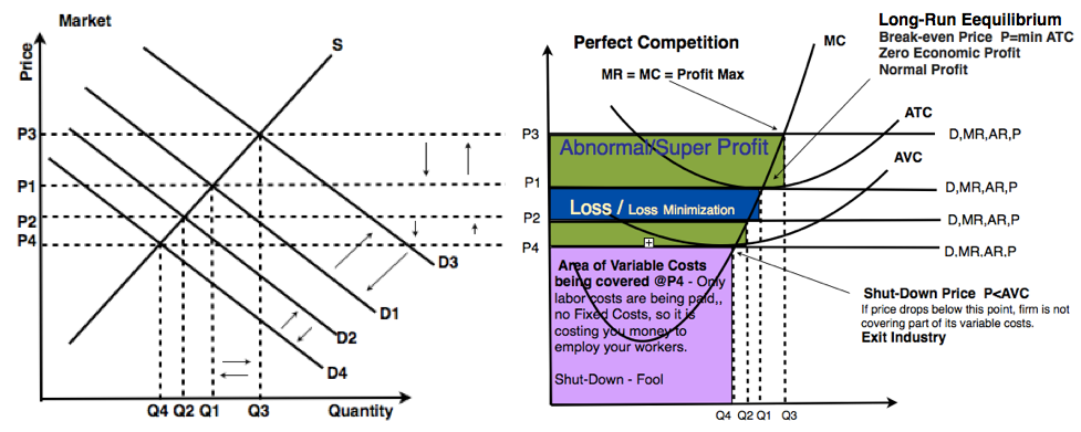 Perfect Competition Loss Graph
