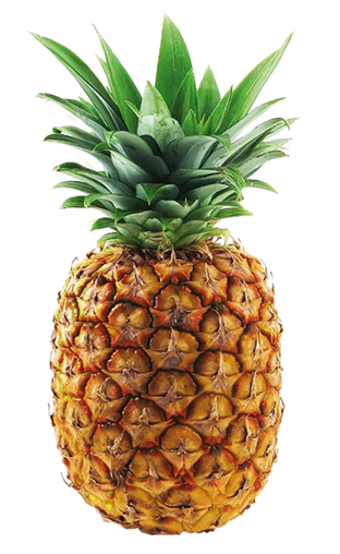 Tu Bartender: La Piña, la fruta maravillosa