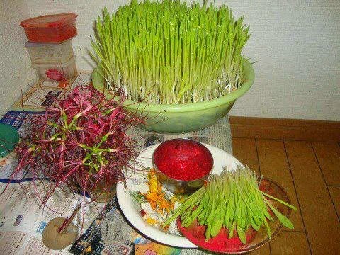 Dashain, Festival of Nepal,