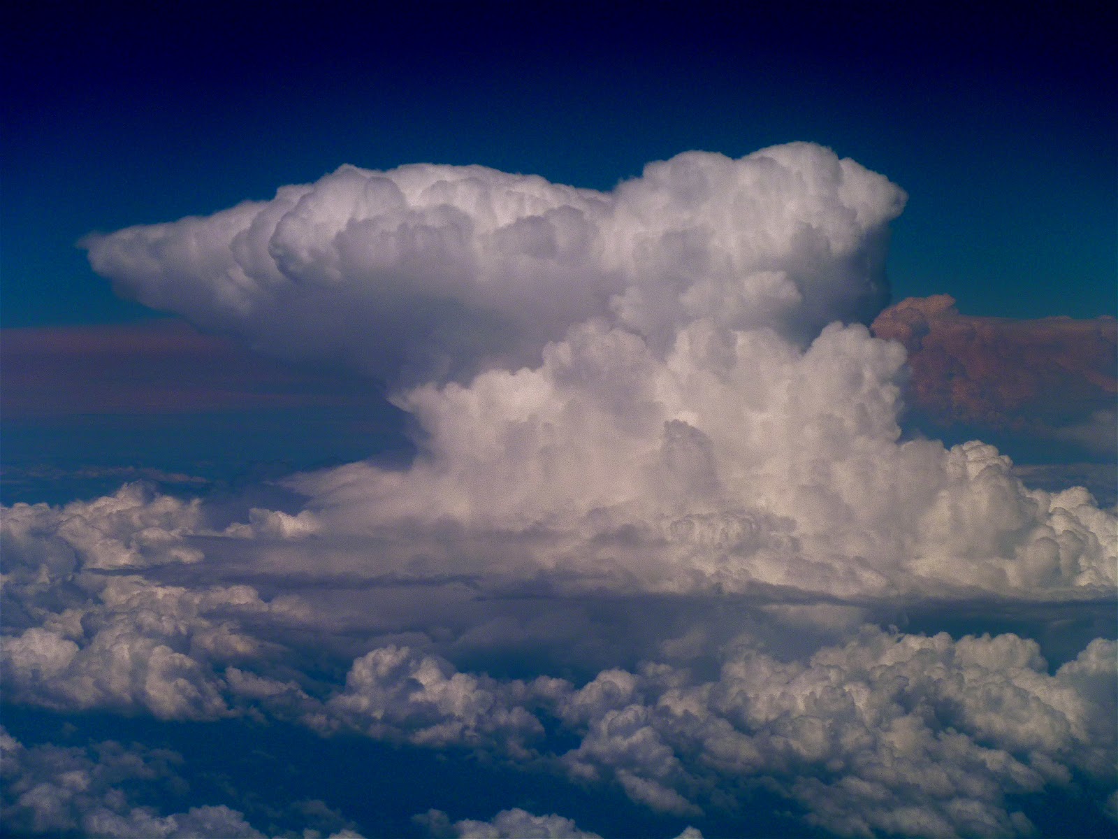 To Australia!: Back to Sydney