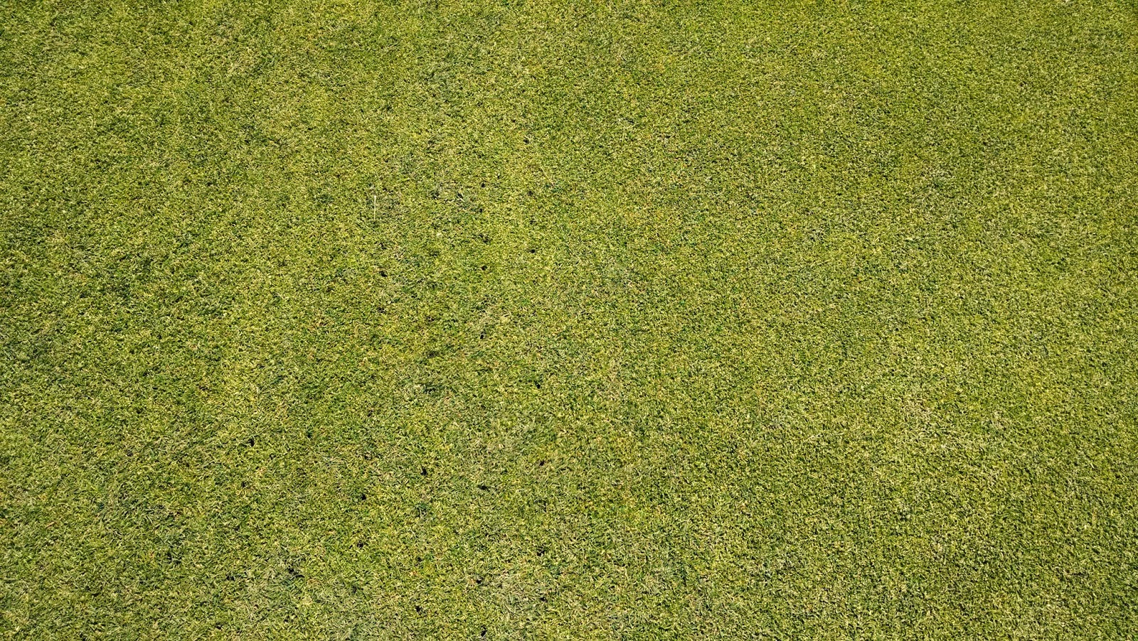 Tee Off With Joe: Needle-tine aeration