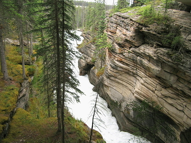 frank hilzerman: Athabasca River, AB, Canada