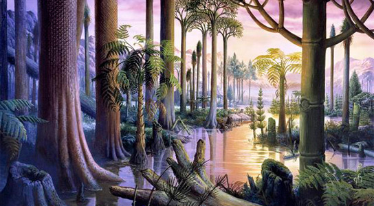 Permian Period: Climate, Animals & Plants ~ Geography in Action