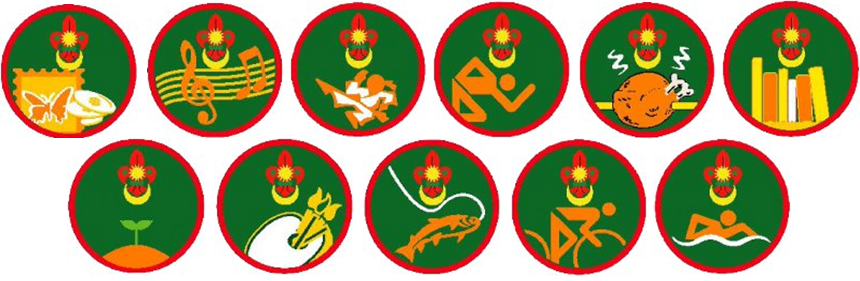 Skim Latihan Pengakap Muda: LENCANA KEPANDAIAN ( KATEGORI KEGEMARAN )