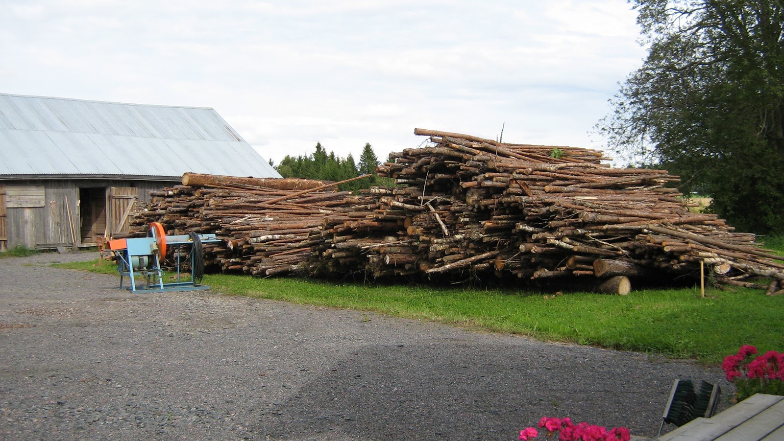 Puusuutari: Puun poltosta sanottua