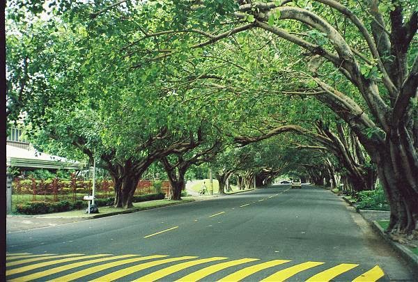 Forbes Park Makati: Forbes Park Makati List of House and Lots for Sale