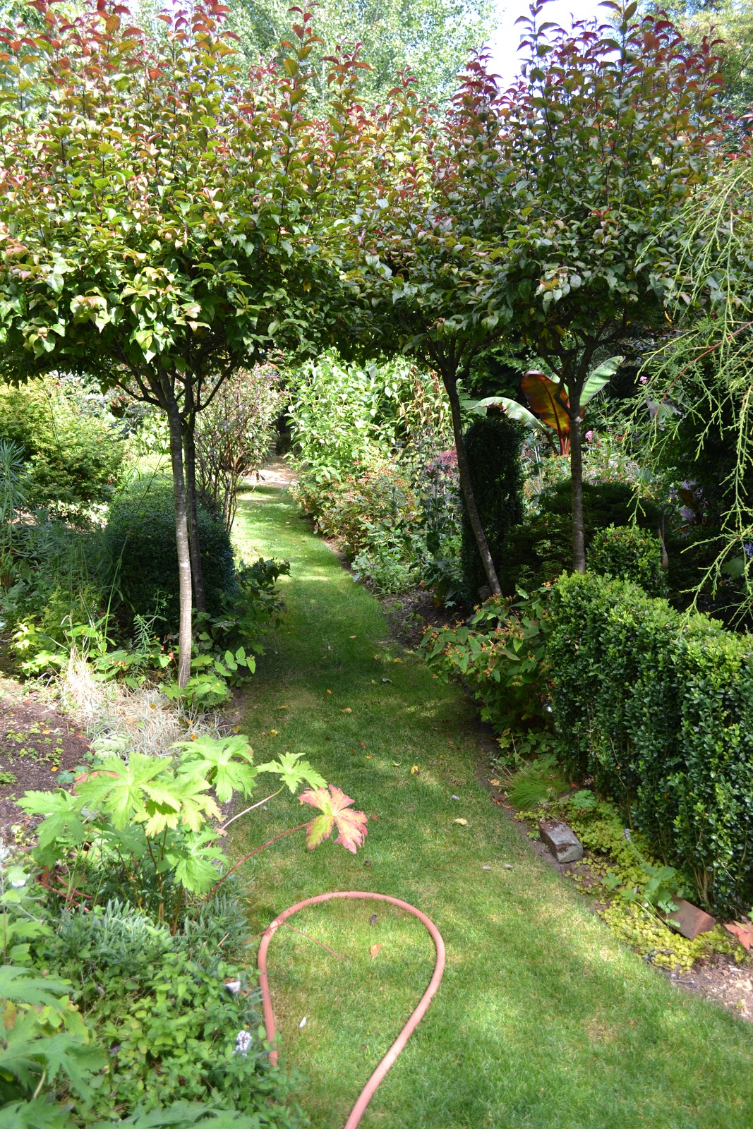 The Outlaw Gardener: Visiting Dragonfly Farms