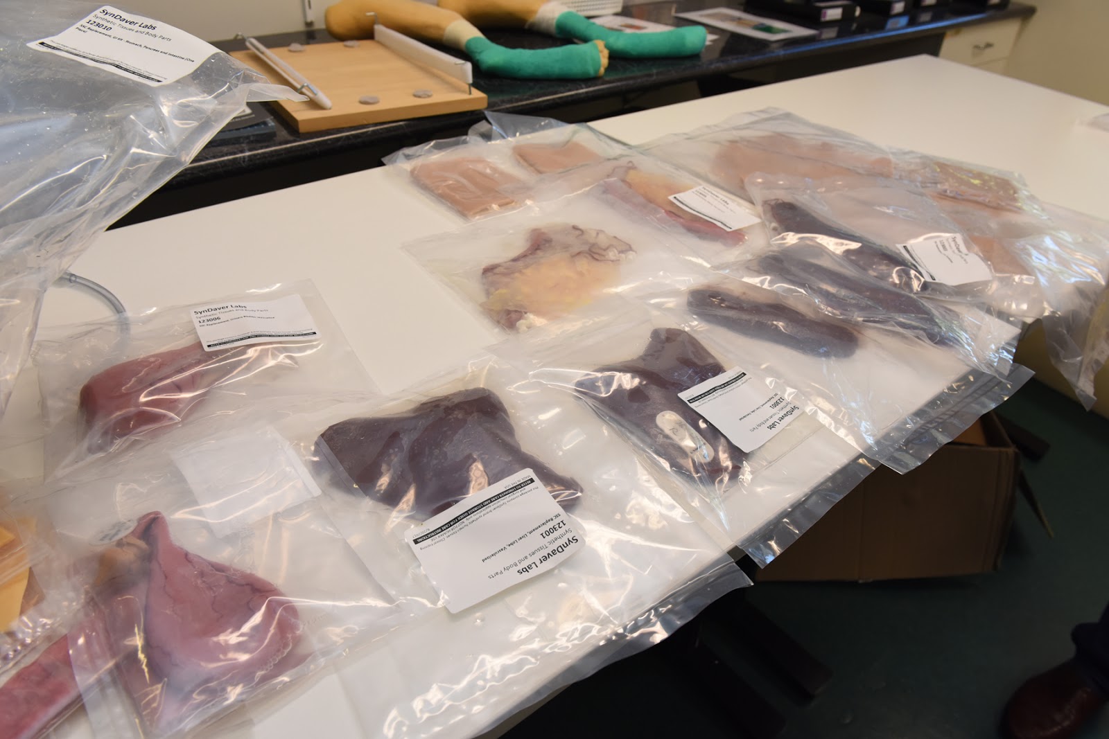 Small Animal Talk: Meeting the Syndaver Surgical Canine Model