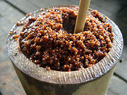 Tongba - JungleKey.in Image