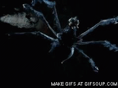 Life Through TV: Spider Slaying, The Saz Way