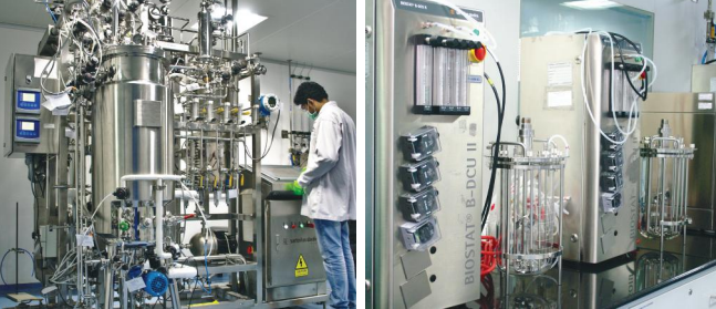 Development of Upstream and Downstream Processing in Biopharmaceutical ...