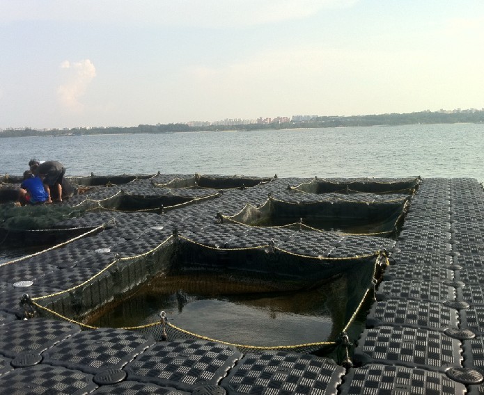 Zona Apung: APLIKASI PONTON APUNG - KERAMBA JARING APUNG