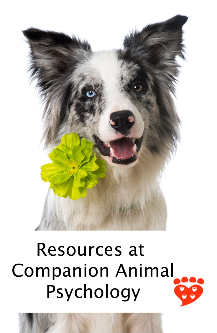 Resources at Companion Animal Psychology
