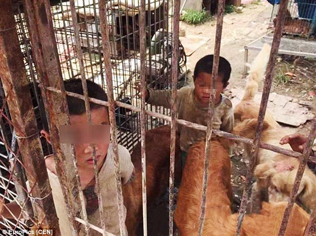 HOT FILES VIRAL: Two children's are locked up in a dog cage by their ...