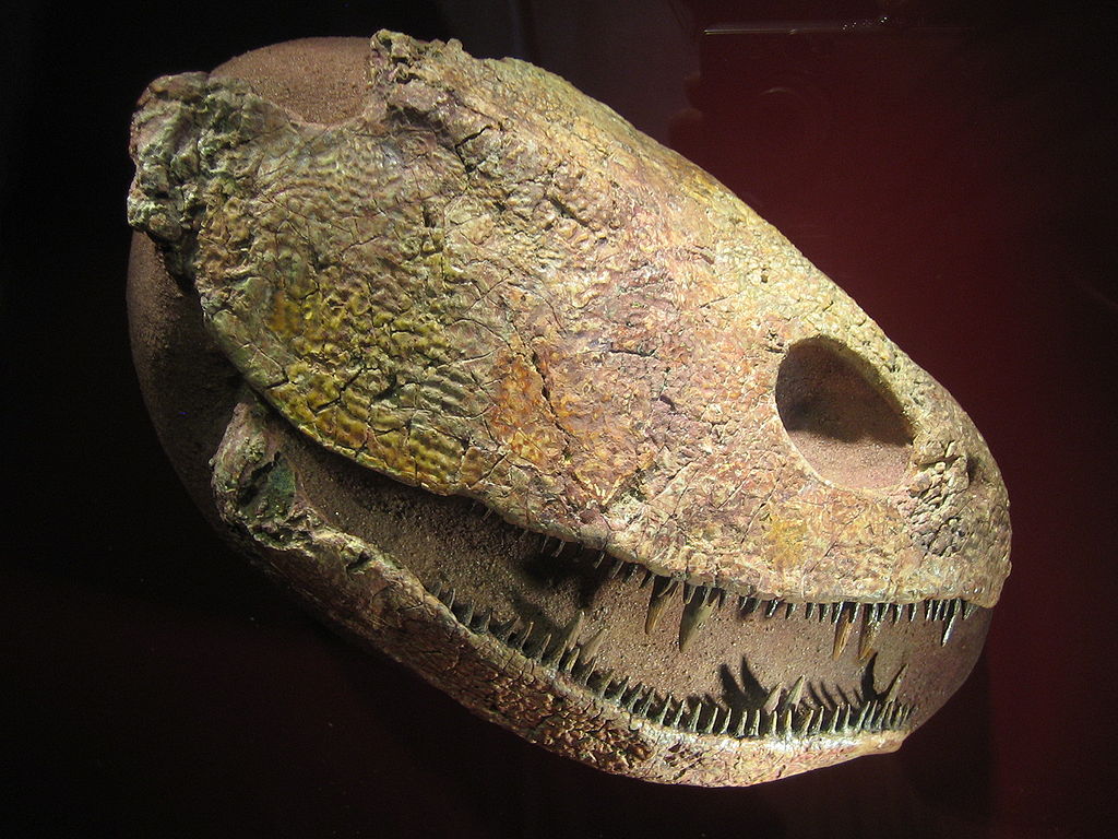 Middle-Devonian Life III: Vertebrates