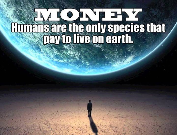 Humans are the only Species - Money Quotes Positive Attitude Quotes ...