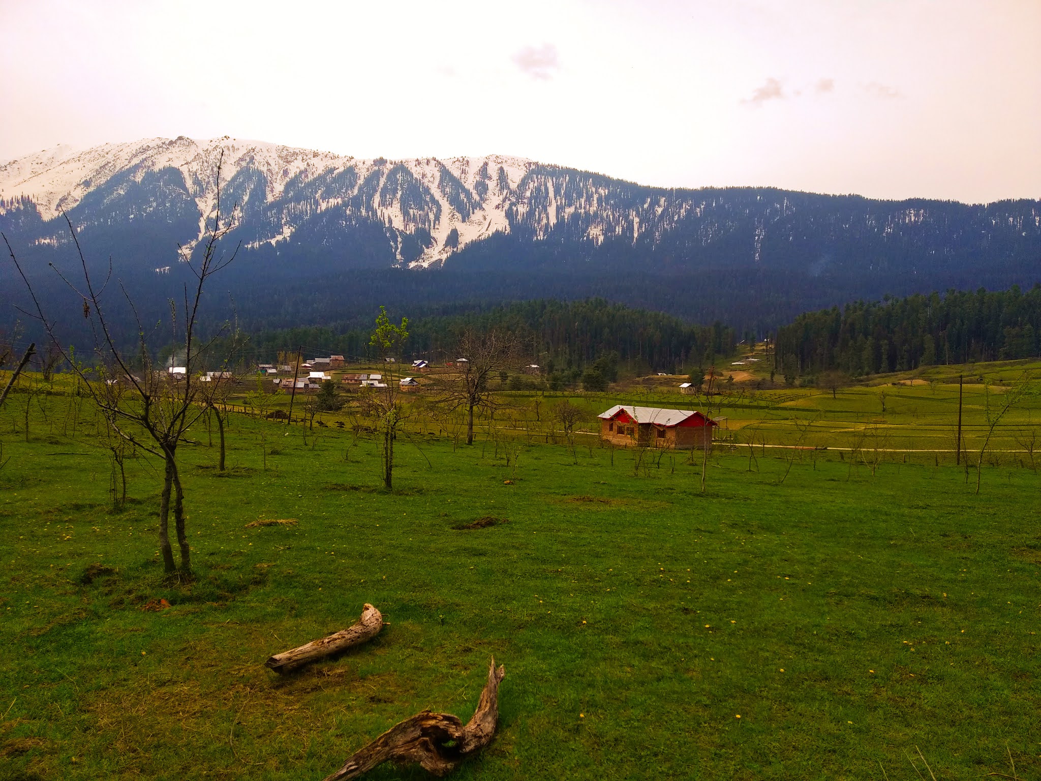 Some Beautiful Images of Tangmarg