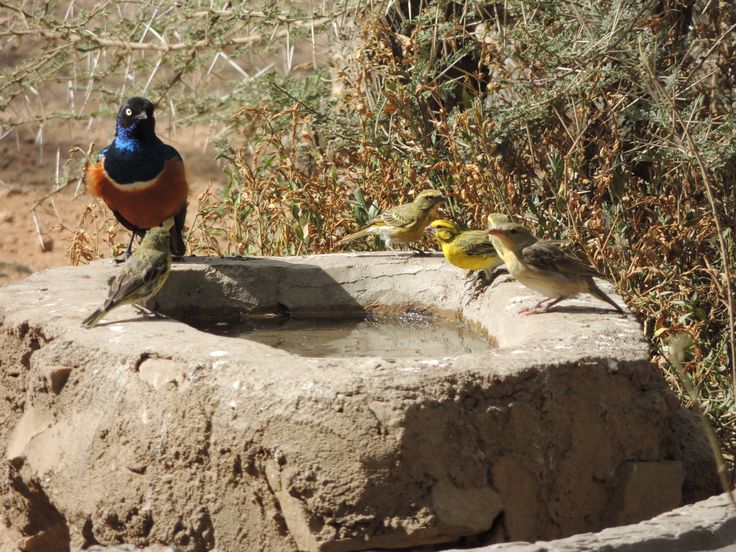 Gilbert Curiosities: The Osmosis of Malicious Nature