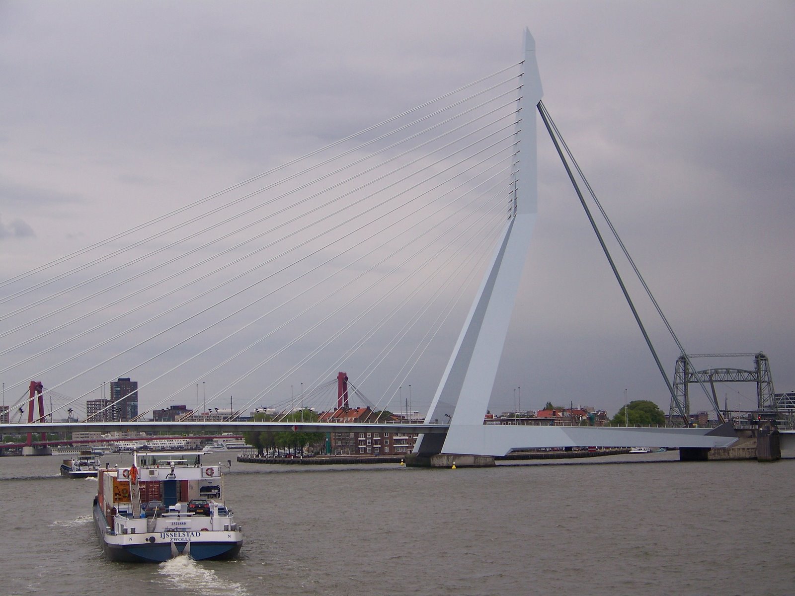 Blogger Wil: Sunday Bridges, Rotterdam, Erasmus Bridge