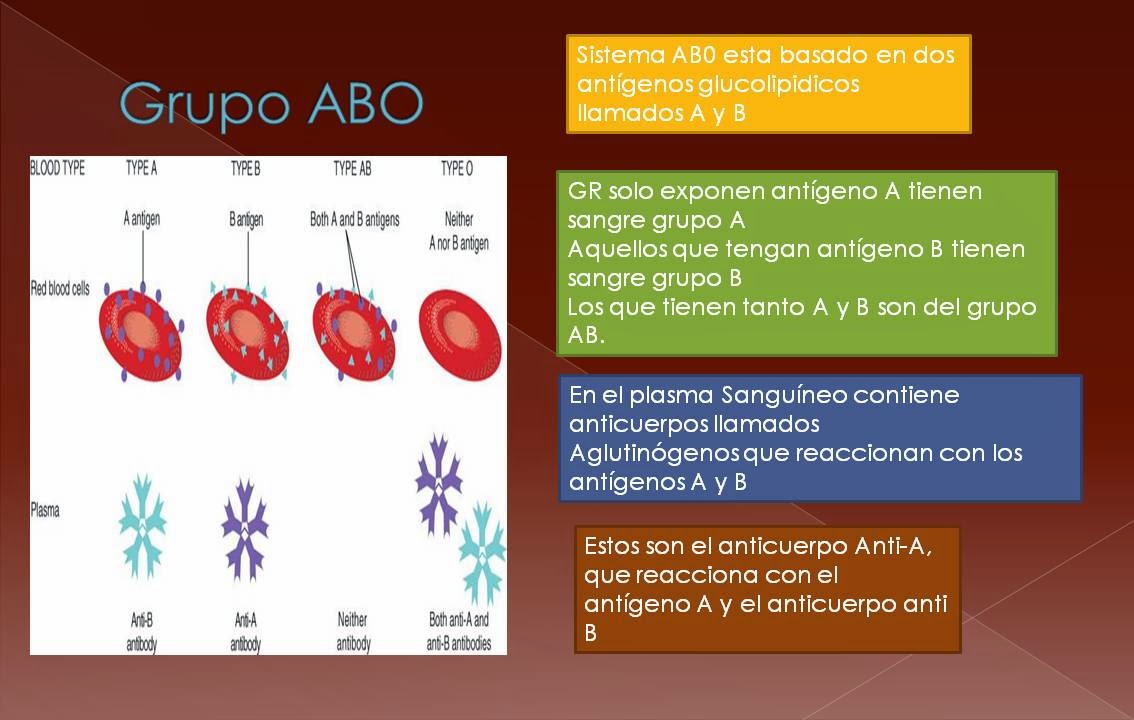El Blog De Fisiología Medica de Jesus Ramon Sosa Chombo: Sistema ABO