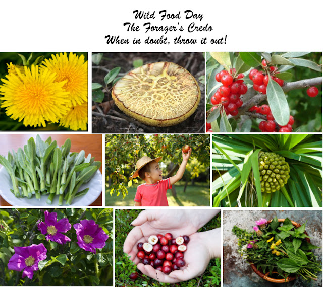 Dietitians Online Blog: Wild Food Day October 28