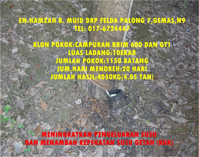 BAJA KELAPA SAWIT,GETAH DAN BUAH-BUAHAN