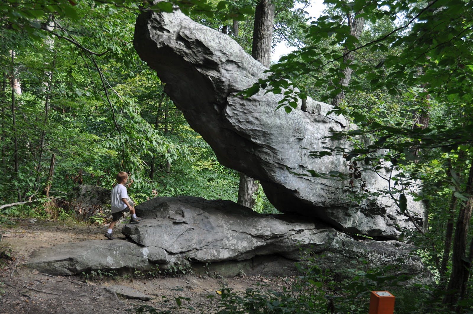 d.a.m.n. gynr! -- our family hiking/biking/etc. blog: Rocks State Park ...