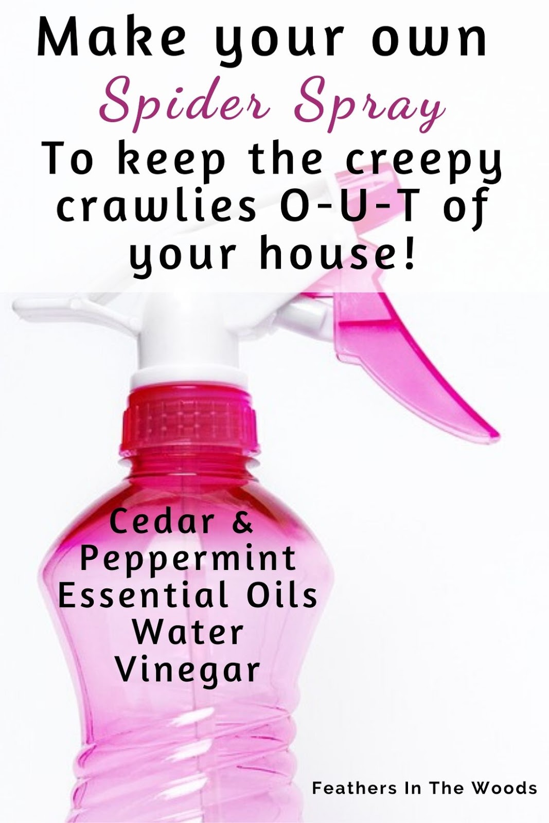 Home remedies to keep spiders out of your house - Feathers in the woods