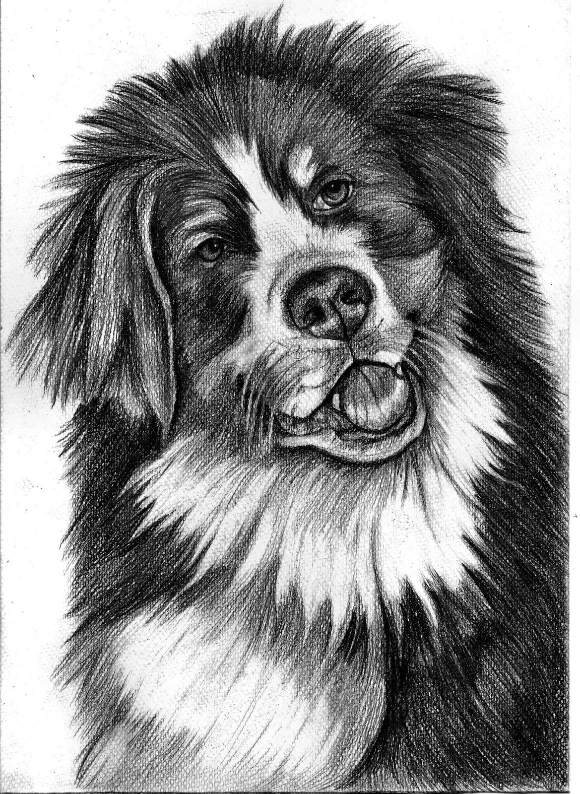 Alice draws-" Alicja w krainie rysunku