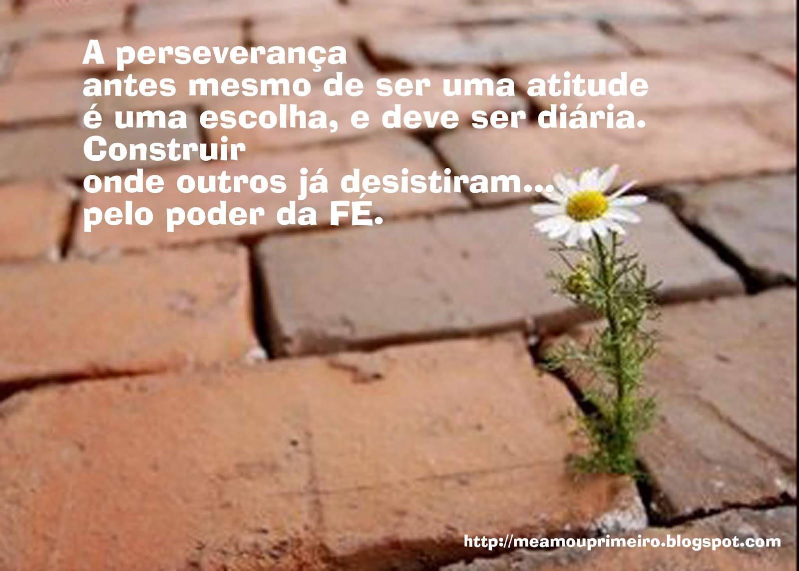 Pão Diario: A Perseverança deve ter ação completa!