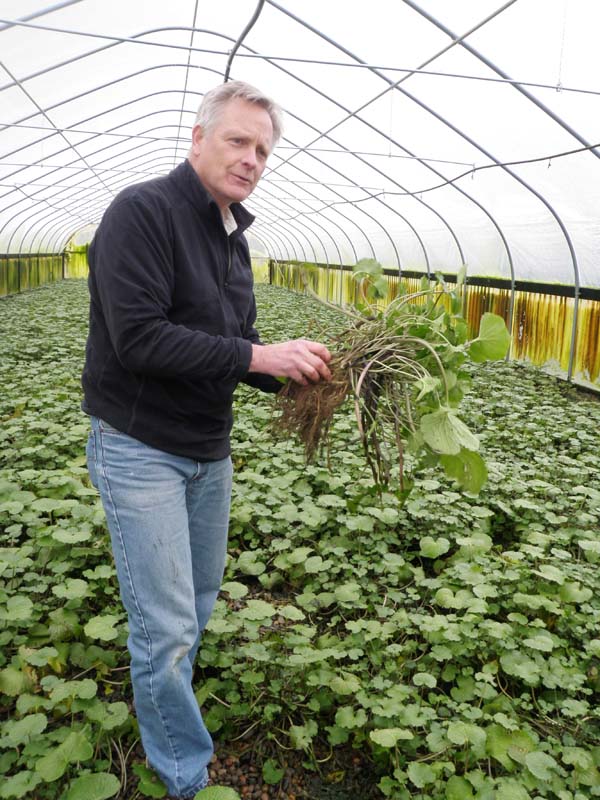 BC Business Brokers: Businesses for Sale in BC