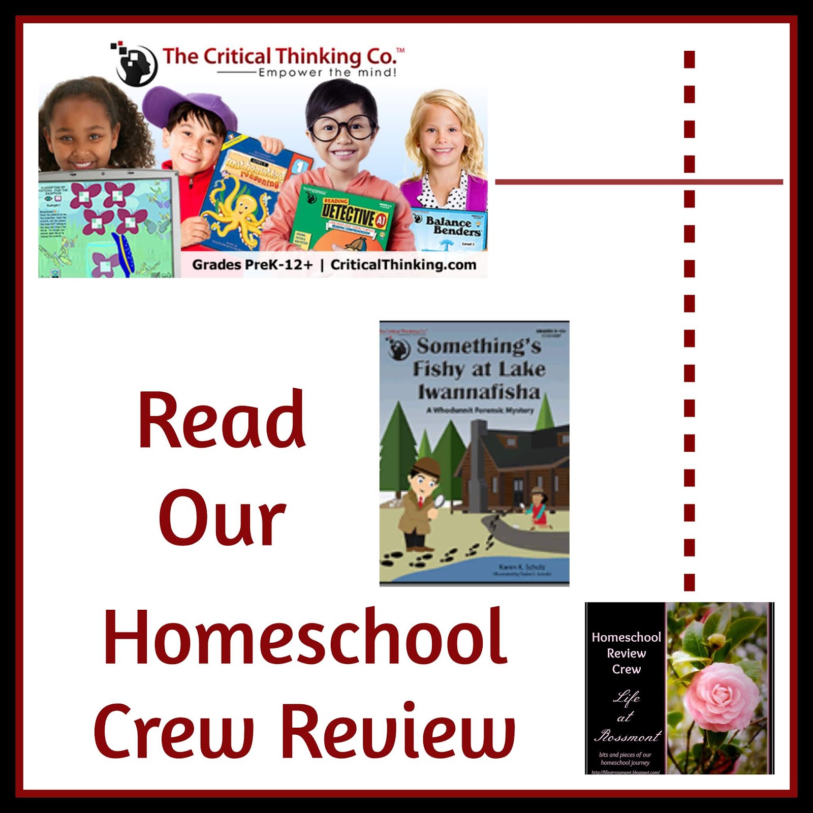 Life at Rossmont: The Critical Thinking Co. {Homeschool Crew Review}