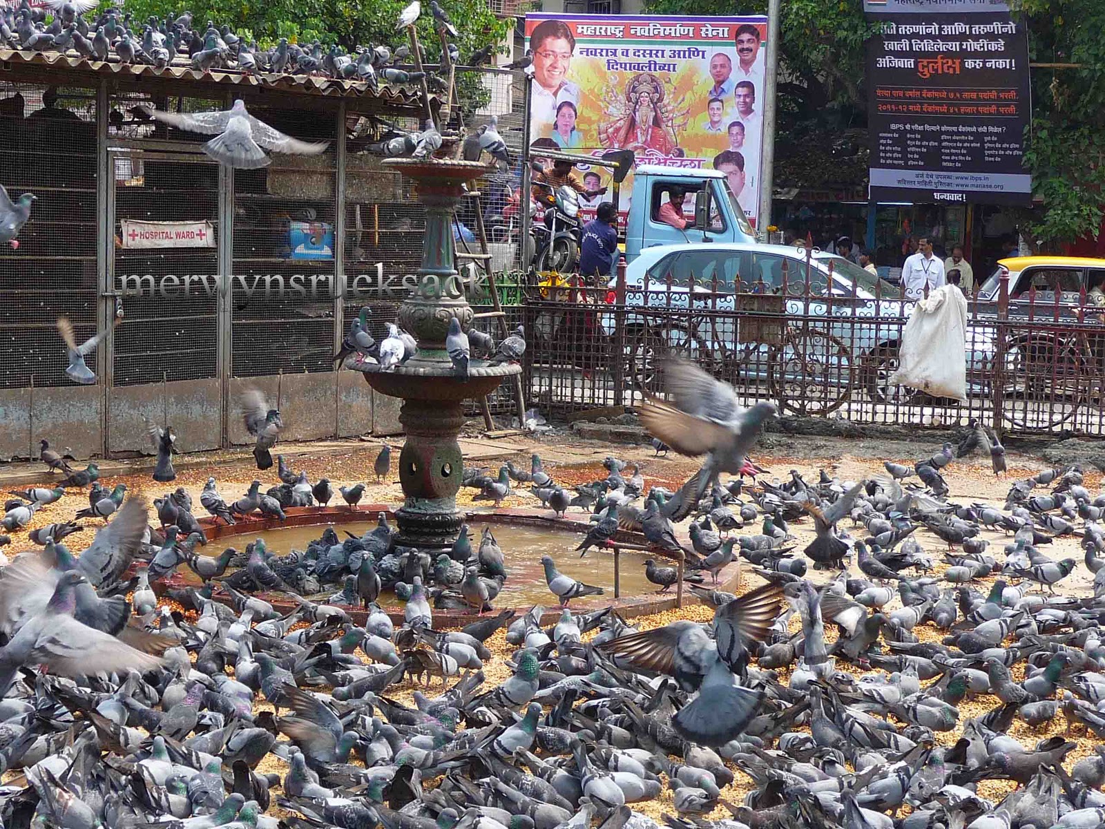 Dadar Kabooter Khana | The journey of a thousand miles begins with one step