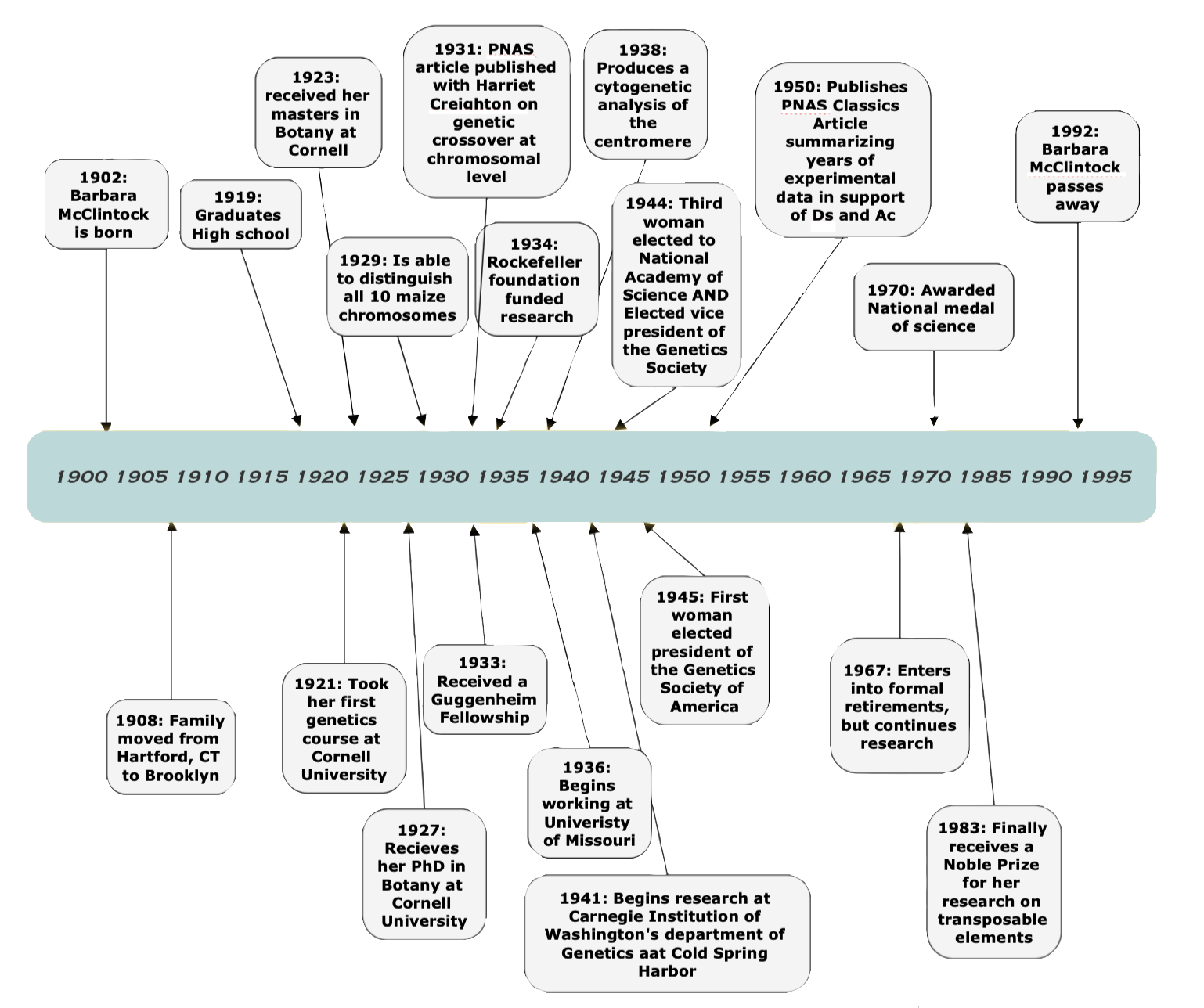 What's Creative?: Barbara McClintock and Her Jumping Genes