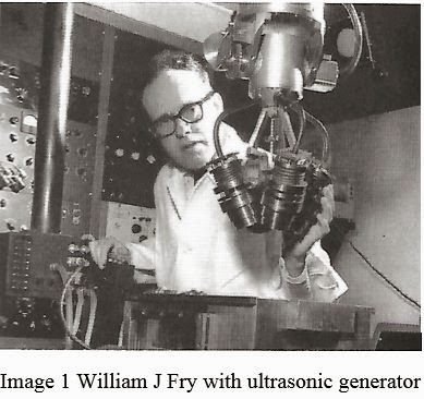 Illinois Distributed Museum : William J Fry