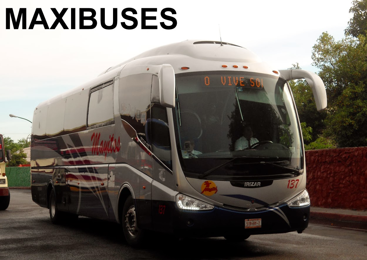 MAXIBUSES: AUTOBUSES LOS MAYITOS