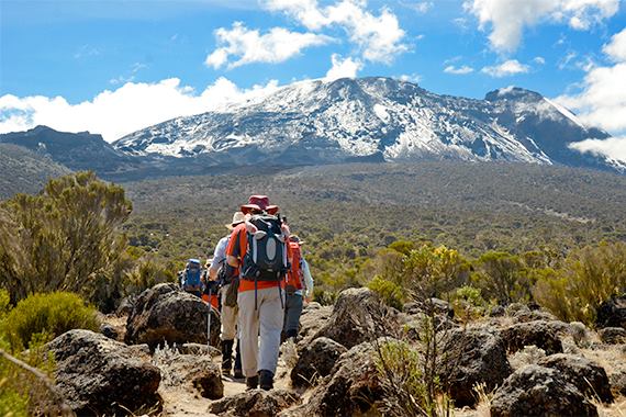 5 ZONES YOU SHOULD KNOW ABOUT MOUNT-KILIMANJARO ...