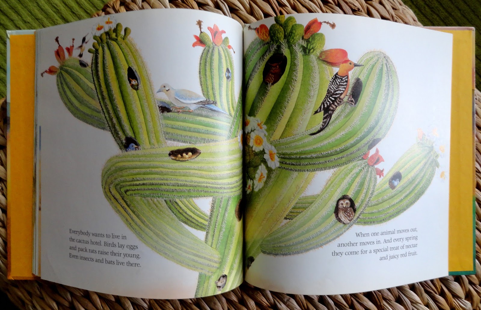 danger garden: The Cactus Hotel