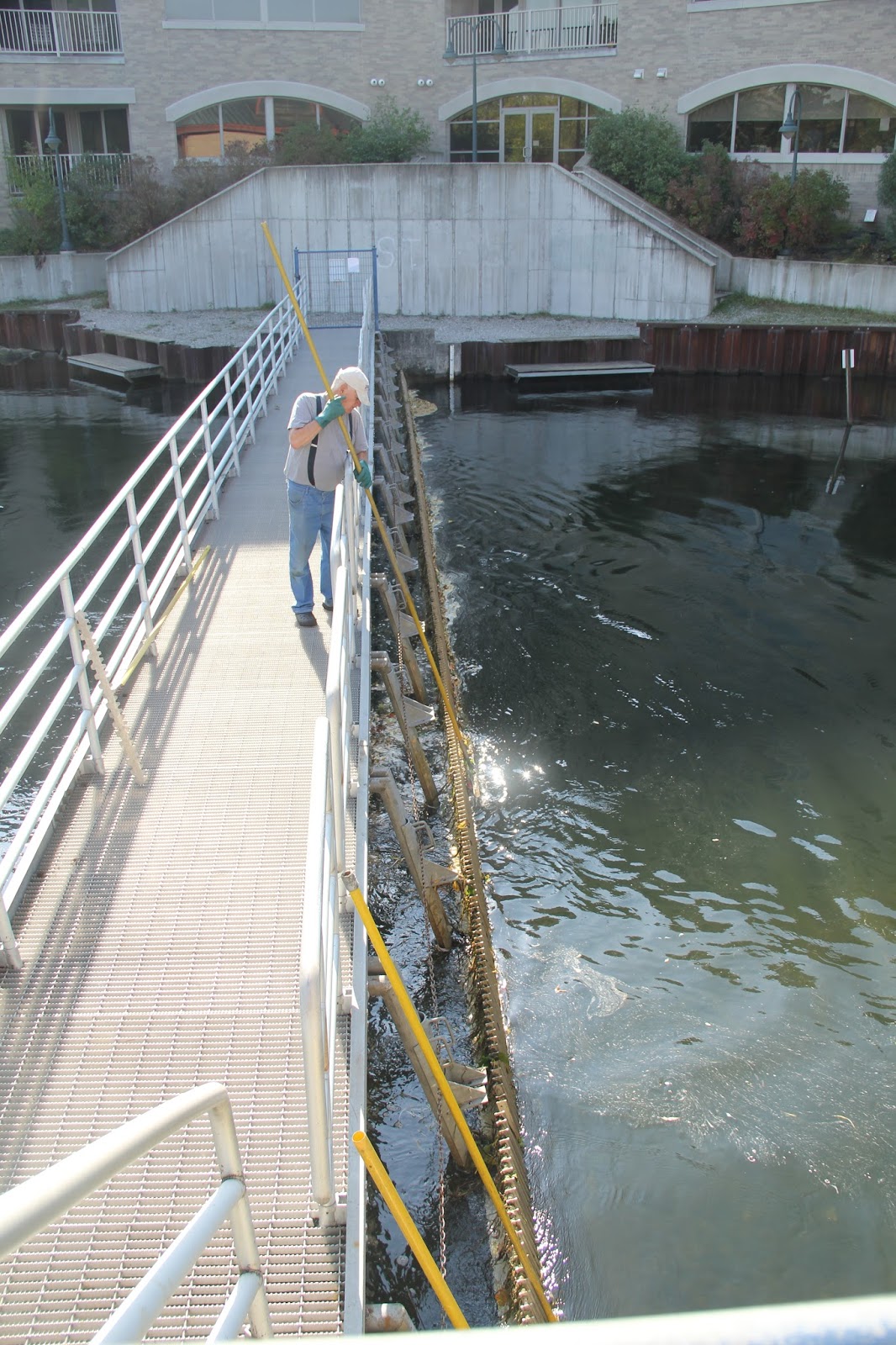 Isabella Conservation District Environmental Education Program: Field ...
