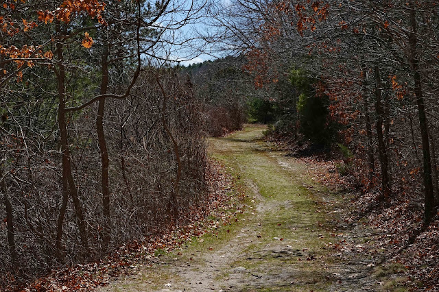Joe's Retirement Blog: Spring, Tidmarsh Wildlife Sanctuary, Mass ...