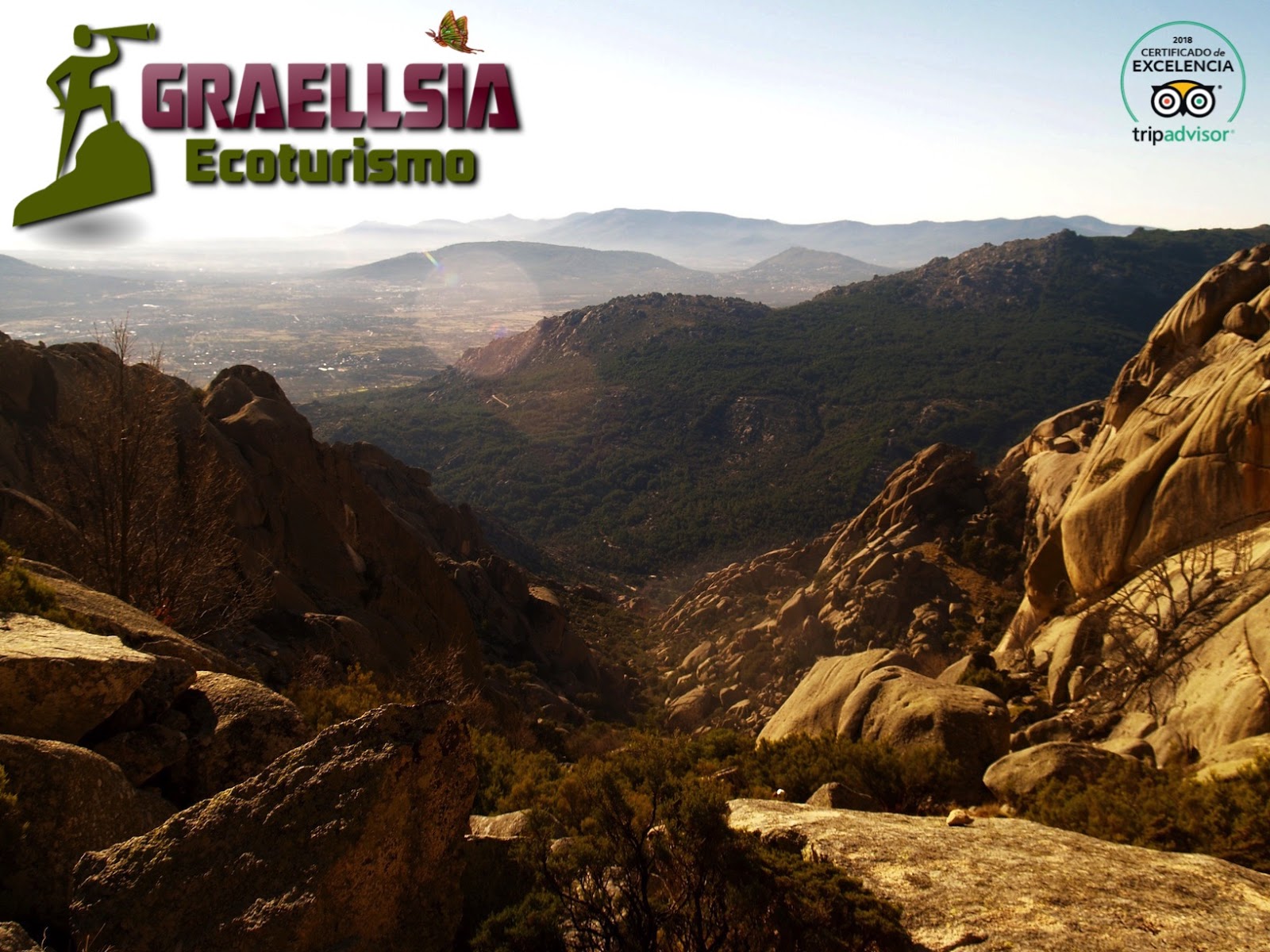 Cuaderno de Campo de Graellsia Ecoturismo: La Pedriza del Manzanares ...