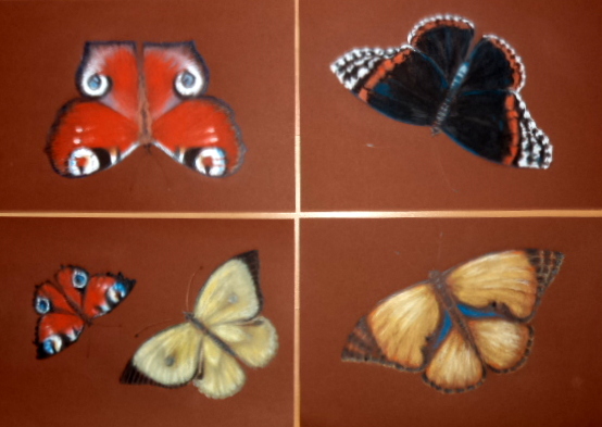 Picturile Roxanei: Pasteluri V - Simboluri - Fluturele