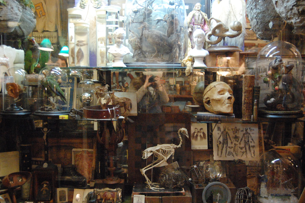 I Don't Remember That Move: d20 things in the creepy old curiosity shoppe
