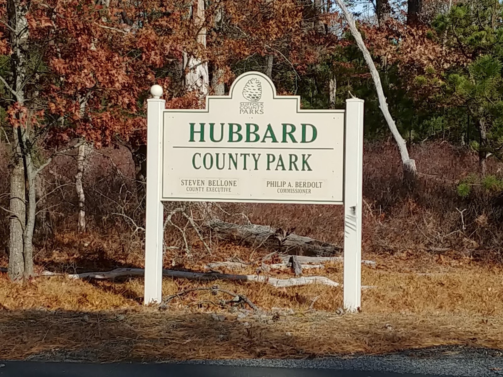 A Mike Who Likes to Hike