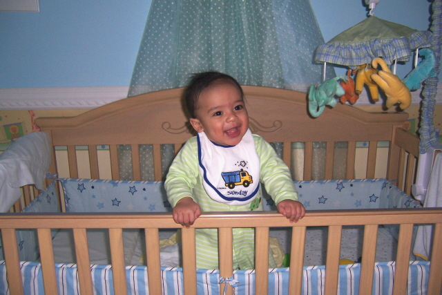 Learning to Walk Before One Could Stand