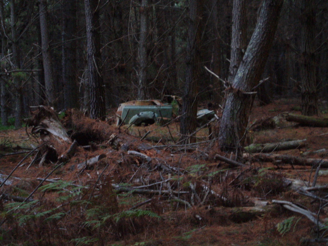 Tsutomu Miyazaki, el otaku asesino - Dunheim: Punto misterioso