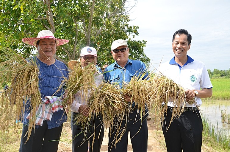 Mahasarakham University International Relations Newsletter: RICE ...