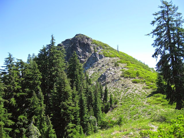 Hiking Sasquatch Country: 35 Tanner Mountain Summit Trail